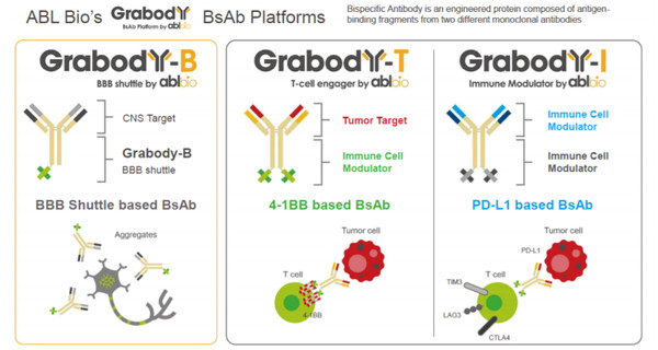 에이비엘바이오, '바이오 플랫폼 기술' 기반 임상 박차