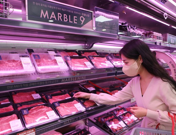 “연말 홈 파티, 롯데마트 한우브랜드 ‘마블나인’으로 준비”