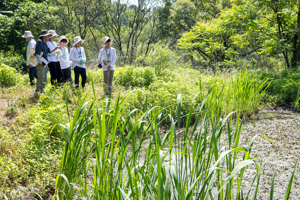 KT가 미래세대와 DMZ로 떠난 이유는?