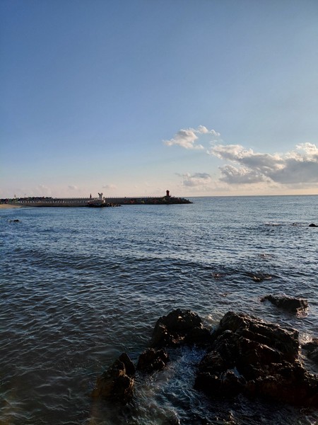 함께 가려면? [오각진의 숲길에서 만난 생각들]